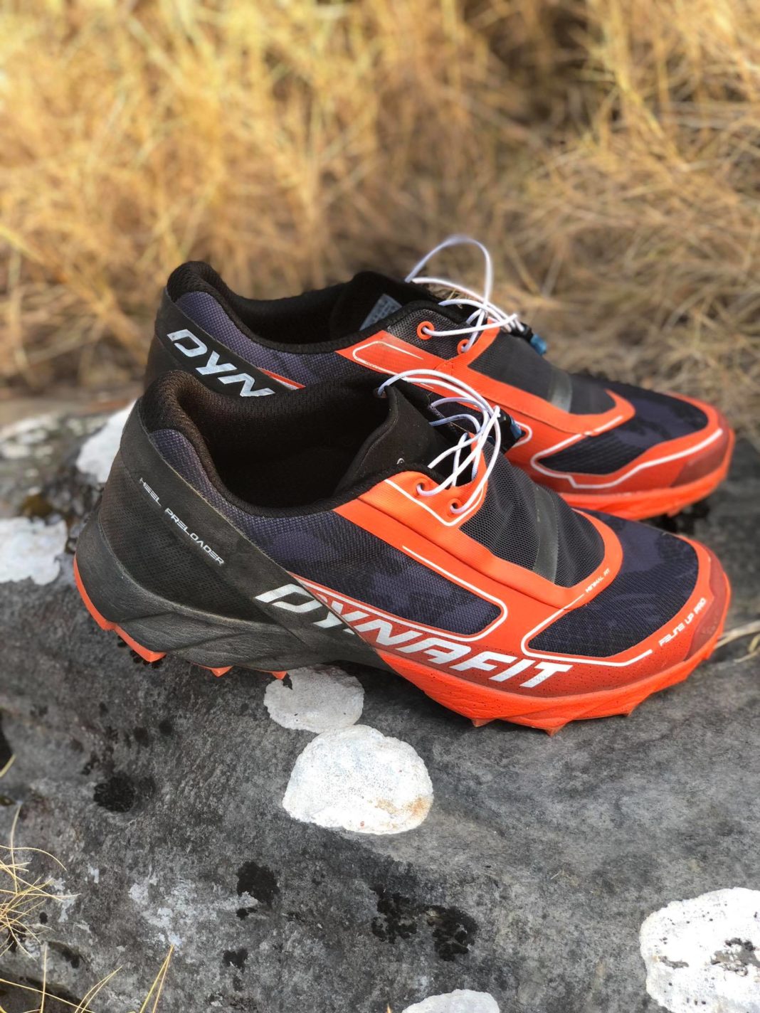 Dynafit Feline Up Pro: Crème de la Crème trailového běhání - Běhej srdcem